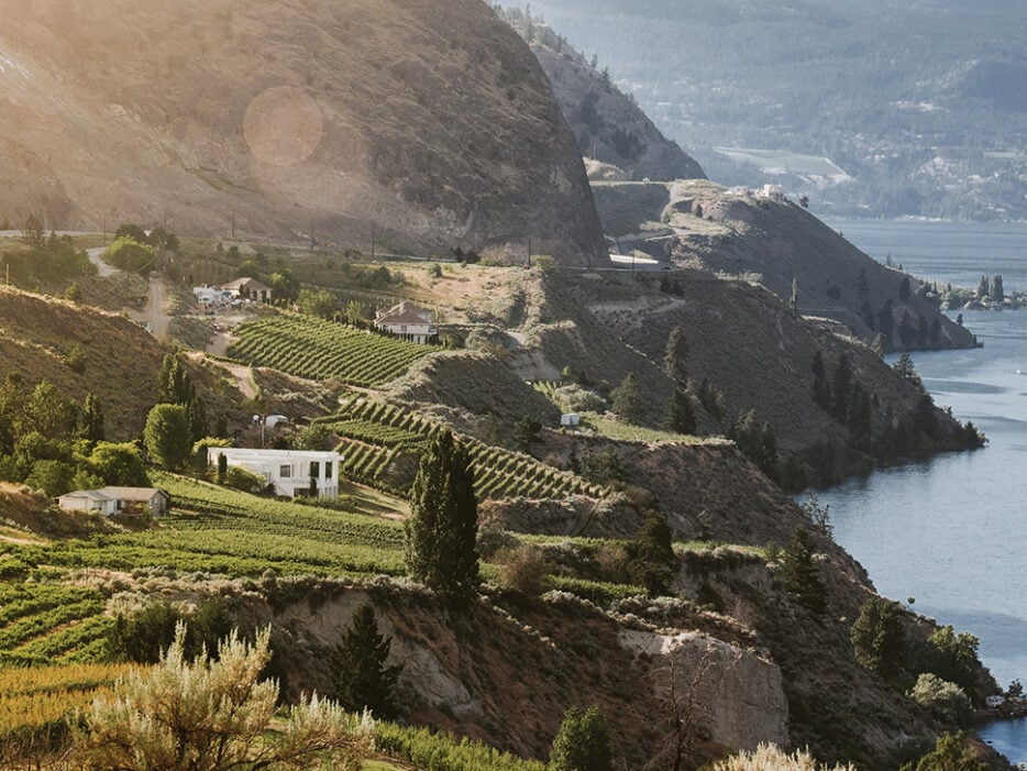 Dual Coffee And Cocktail Bar Ellipsis Near Granville Island Is Now Open ...